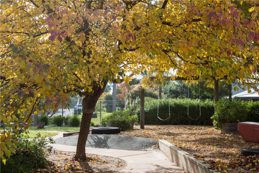 Moriac Pre School | Your Say Surf Coast